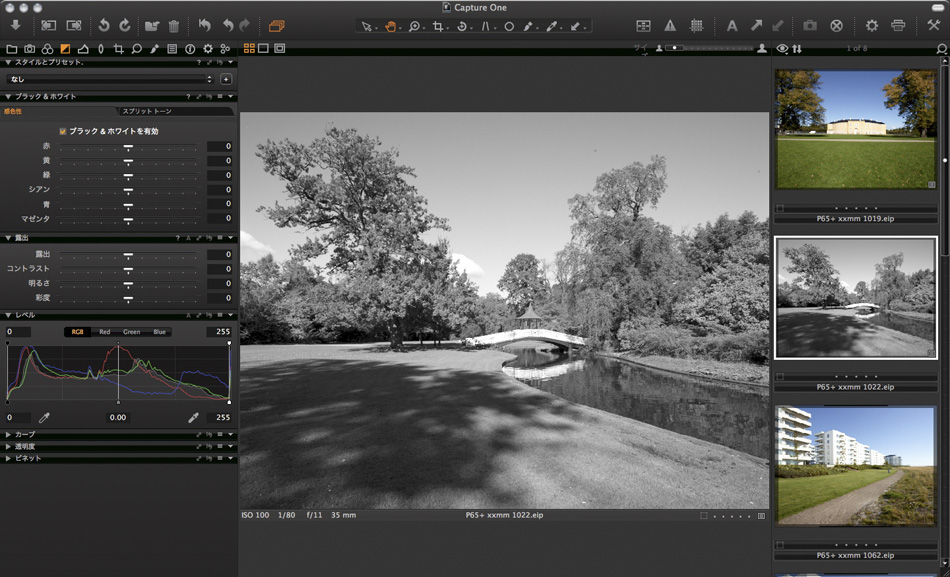 Capture One - ワークスペース: Phase One Japan デジタルバック通信