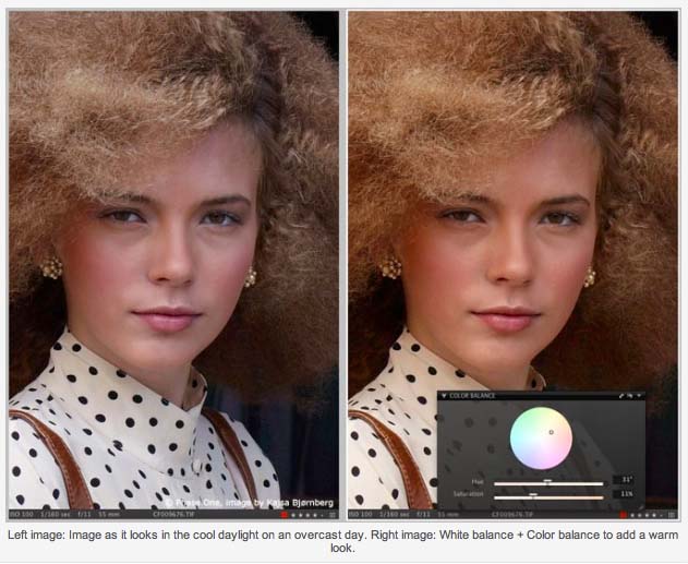White Balance and Color Balance: Phase One Japan デジタルバック通信