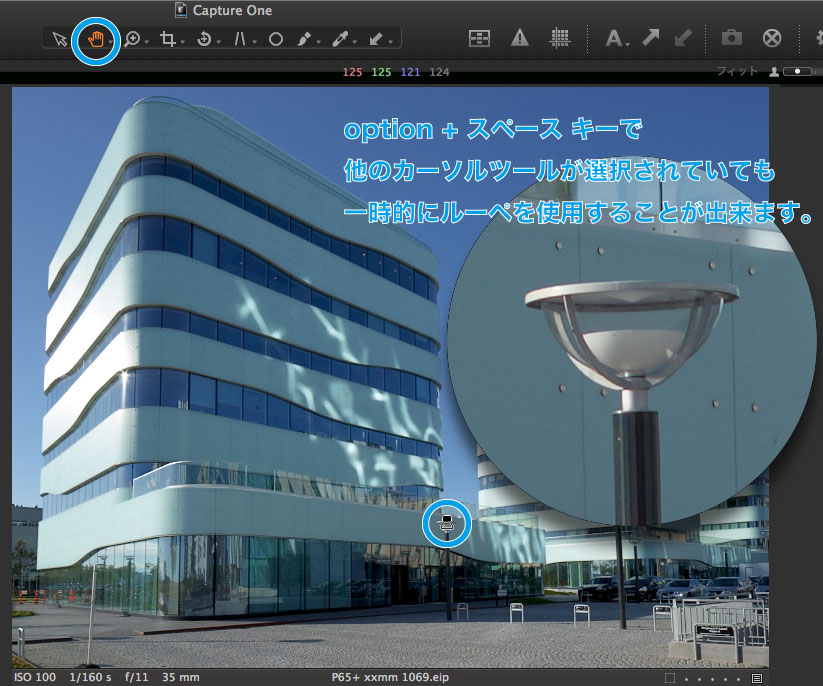 Capture One - 一時的にルーペツールに切り替える: Phase One Japan デジタルバック通信