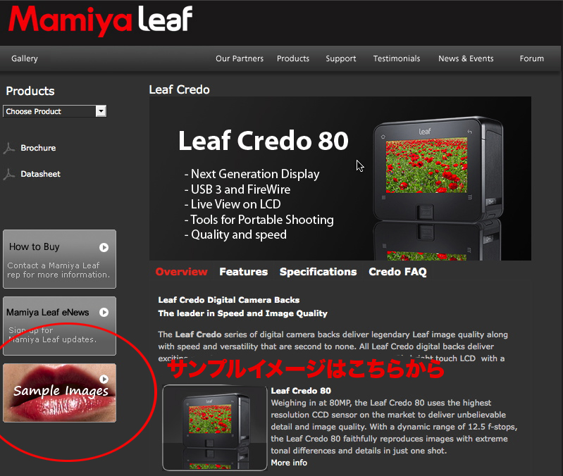 Mamiya Leaf Credo 80サンプルイメージ: Phase One Japan デジタルバック通信